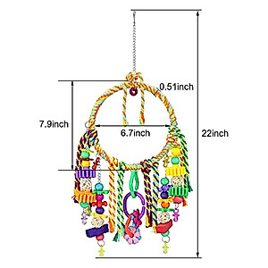 Bird Toys Bird Swing Toy Bird Perches Colorful Chewing Toys for Parakeets Meyers Cockatiel Conure Quaker Caique and Other Medium Sized Birds