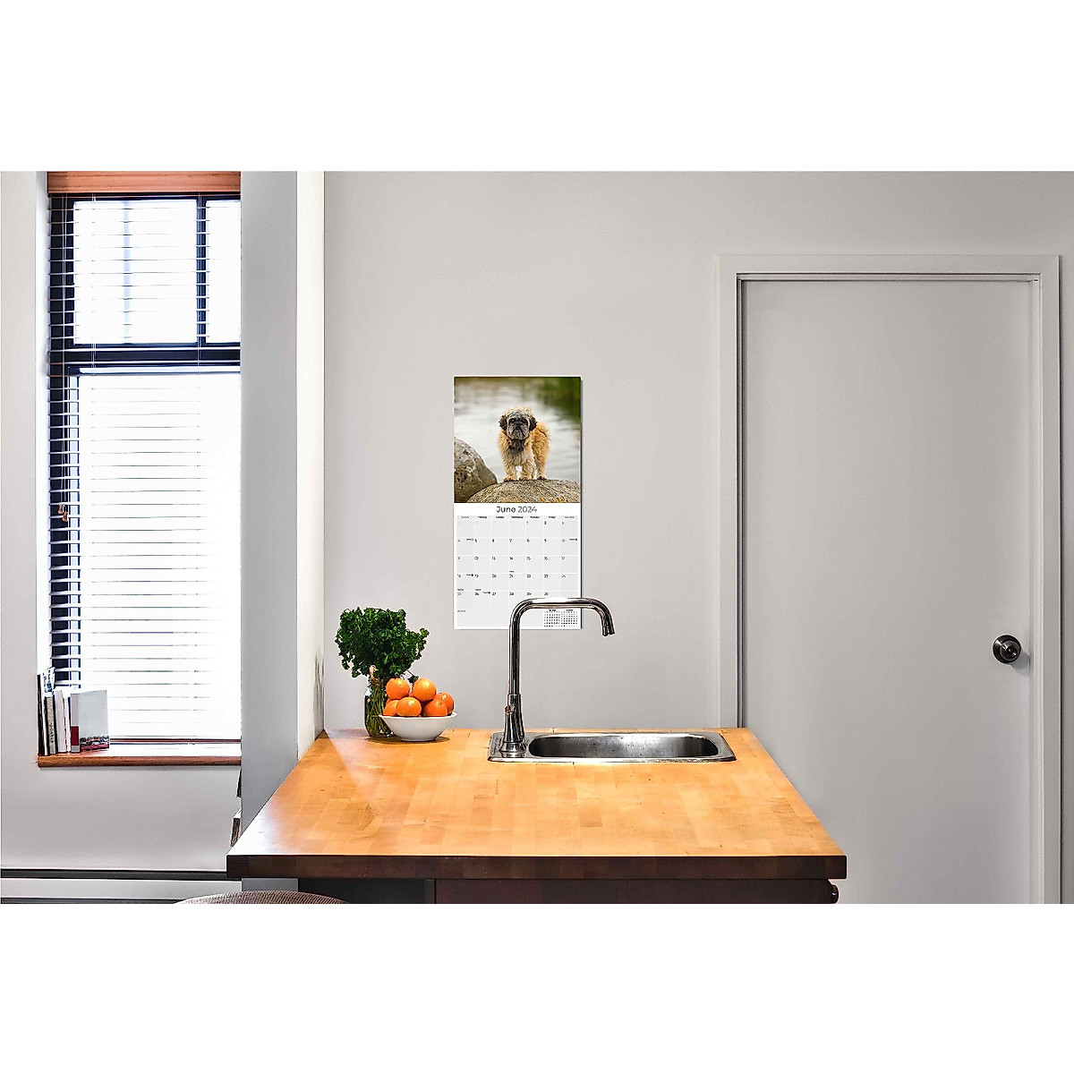 2023 2024 Shih Tzu Calendar - Dog Breed Monthly Wall Calendar - 12 x 24 Open - Thick No-Bleed Paper - Giftable - Academic Teacher's Planner Calendar Organizing & Planning - Made in USA