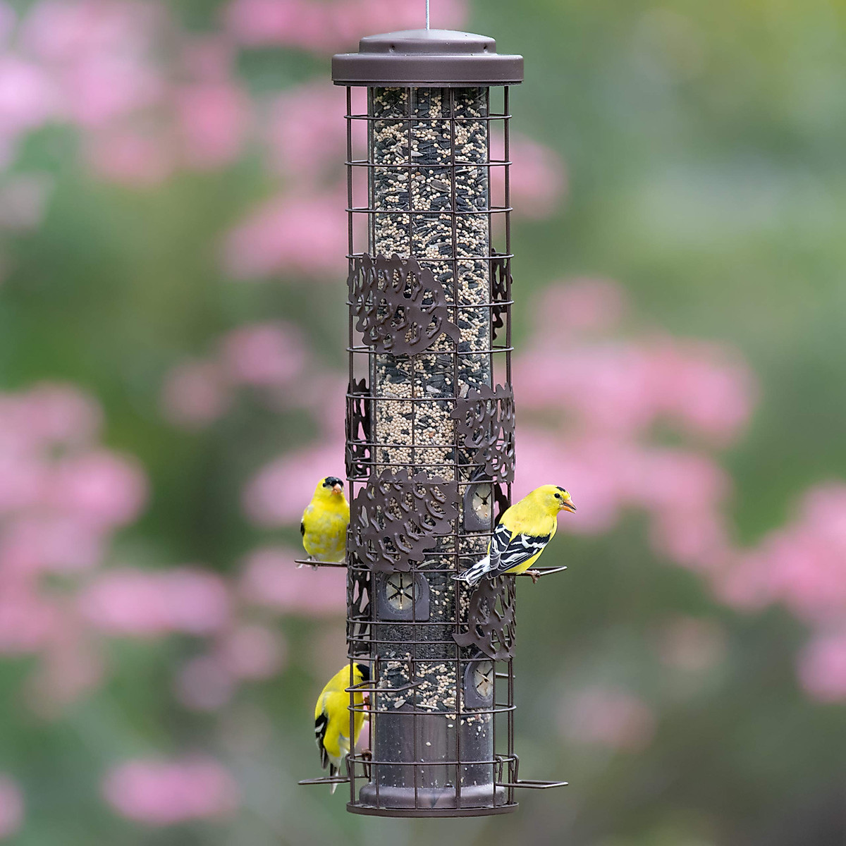 Perky-Pet SBG101 Squirrel Off Max Pinecone Bird Feeder with Flexports – 1.75 lb Capacity