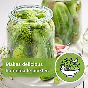 Sow Right Seeds - National Pickling Cucumber Seeds for Planting - Non-GMO Heirloom Seeds with Instructions to Plant and Grow a Home Vegetable Garden, Great Gardening Gift (1)