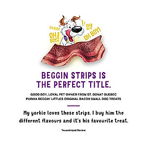 Purina Beggin' With Real Meat Dog Treats, Fun Size Original With Bacon Flavor - 25 oz. Pouch