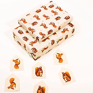 CENTRAL 23 Fall Wrapping Paper - 6 Gift Wrap Sheets For Birthday or Christmas - Thanksgiving Wrapping Paper For Boys Girls - Easter Paper - Squirrel Design - For Kids Men Women - Recyclable
