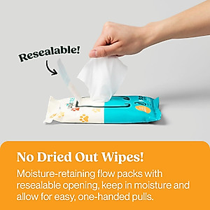 WIPEMATE Premium Dog & Cat Pet Wipes Cleans Pet Paws, Ears, Fur, Butt, & Anal Gland, No-Rinse Solution, Gentle, Deodorizing, Hypoallergenic - Unscented 30 ct (Travel Series)