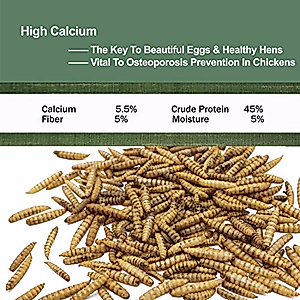 LIWII Dried Black Soldier Fly Larva- 5 LBS-100% Natural Non-GMO Extra Calcium & Protein Compare with Dried Mealworms, Chicken Treats, Bearded Dragon Food, Wild Birds, Hedgehog, Turtles, Reptile Food