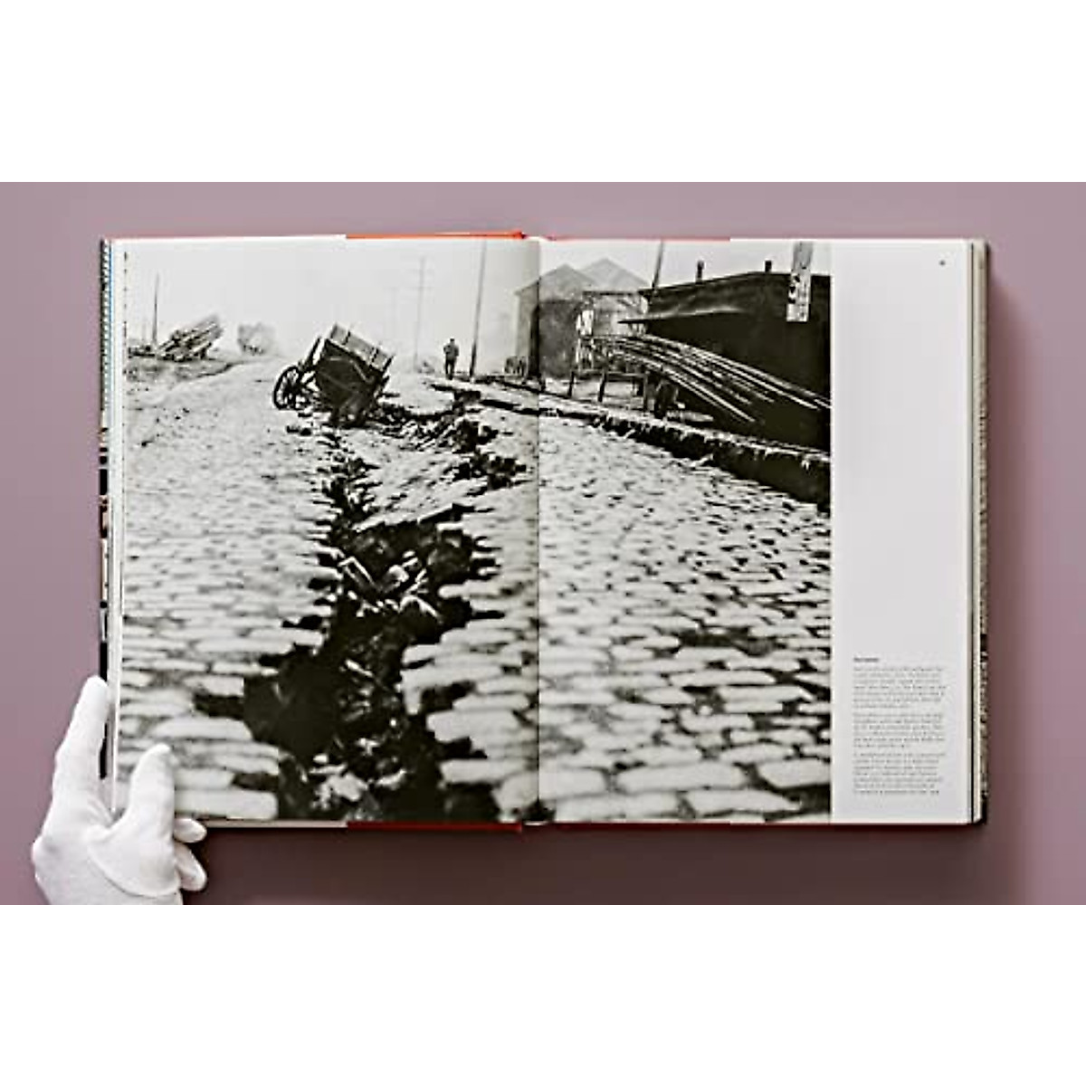 San Francisco: Portrait of a City / Portrat einer Stadt / Portrait d'une ville