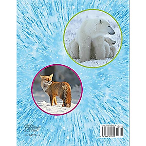 Arctic Animals (Cold Feet)