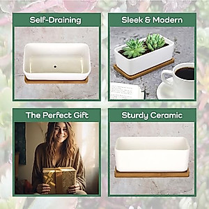 Ceramic Succulent Pots - 1 Pot - Short Rectangle - with Bamboo Tray - White - 6.3"