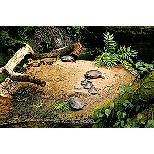 Tamron AF 17-50mm F/2.8 XR Di II LD Aspherical Lense for Nikon SLR/DSLR