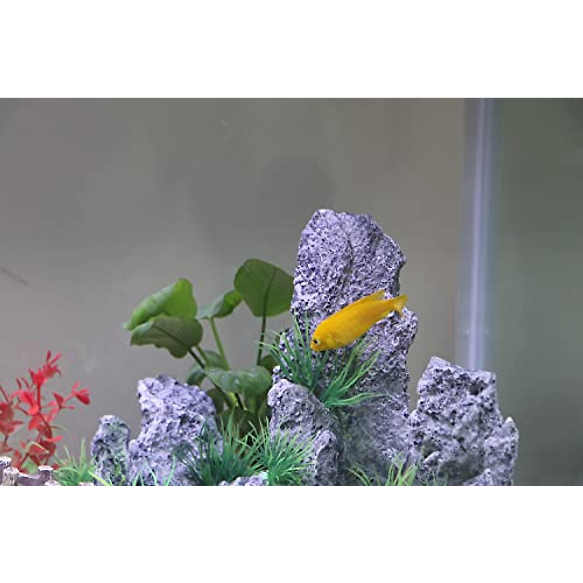 AQUA KT Aquarium Mountain Cichlid Stone Rock Betta Fish Hide Natural View for Marine or Freshwater Aquarium Landscape Large Fish Tank Decoration, Pack of 1