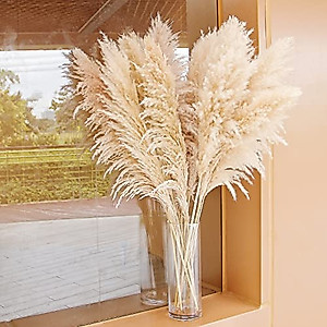 Bannifll 40" inch 10 Stems Natural Pampas Grass Decor Tall, pompas Grass, Tall Pampas Grass for Wedding, Party, Farmhouse, Boho Home Decor