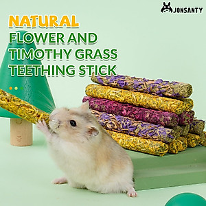 JONS NTY 50-60 PCS Natural Rabbit Chew Toys, Bunny Toys with Timothy Grass Apple Sticks, for Guinea Pig, Hamster, Chinchilla, Rat, Teething Toy for Small Animals