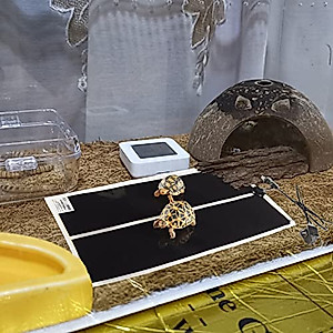 2 Pack 20W Reptile Heating Pad Tank Warmer with Temperature Control, Power Adjustment Under Tank Terrarium Heater Heat Mat for Reptiles Turtle, Tortoise, Snakes, Lizard