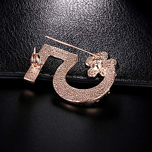 Comelyjewel Brooch Pin Number Five Pin Brooch Corsage Scarf pin Rhinestones Breastpin for Wedding/Banquet/Bouquet Golden