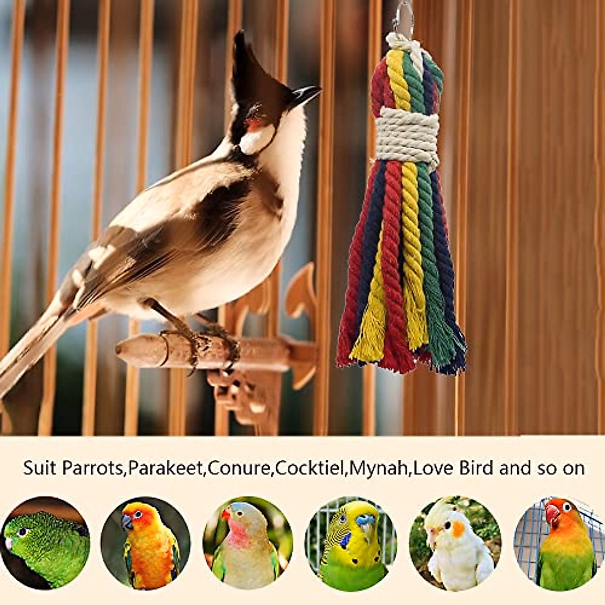 ASOCEA Pet Bird Parrot Colorful Cotton Rope Bite Chew Cage Hanging Toys for Cockatiels Macaws Parrots Small Medium Large Birds