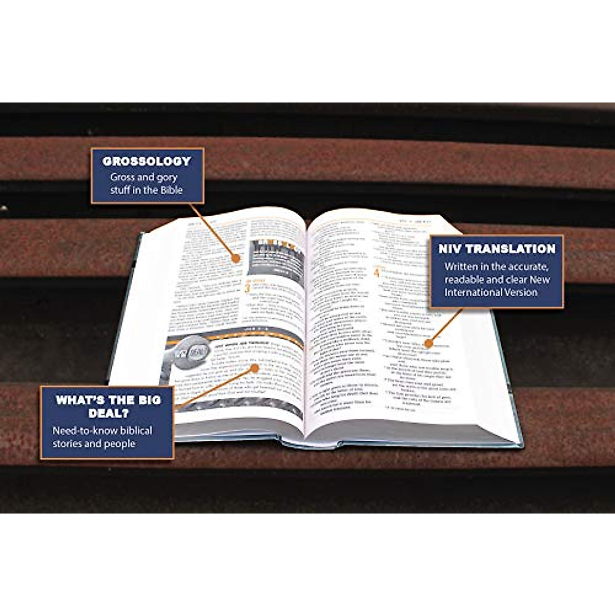 NIV, Boys' Bible, Leathersoft, Brown Camo, Comfort Print