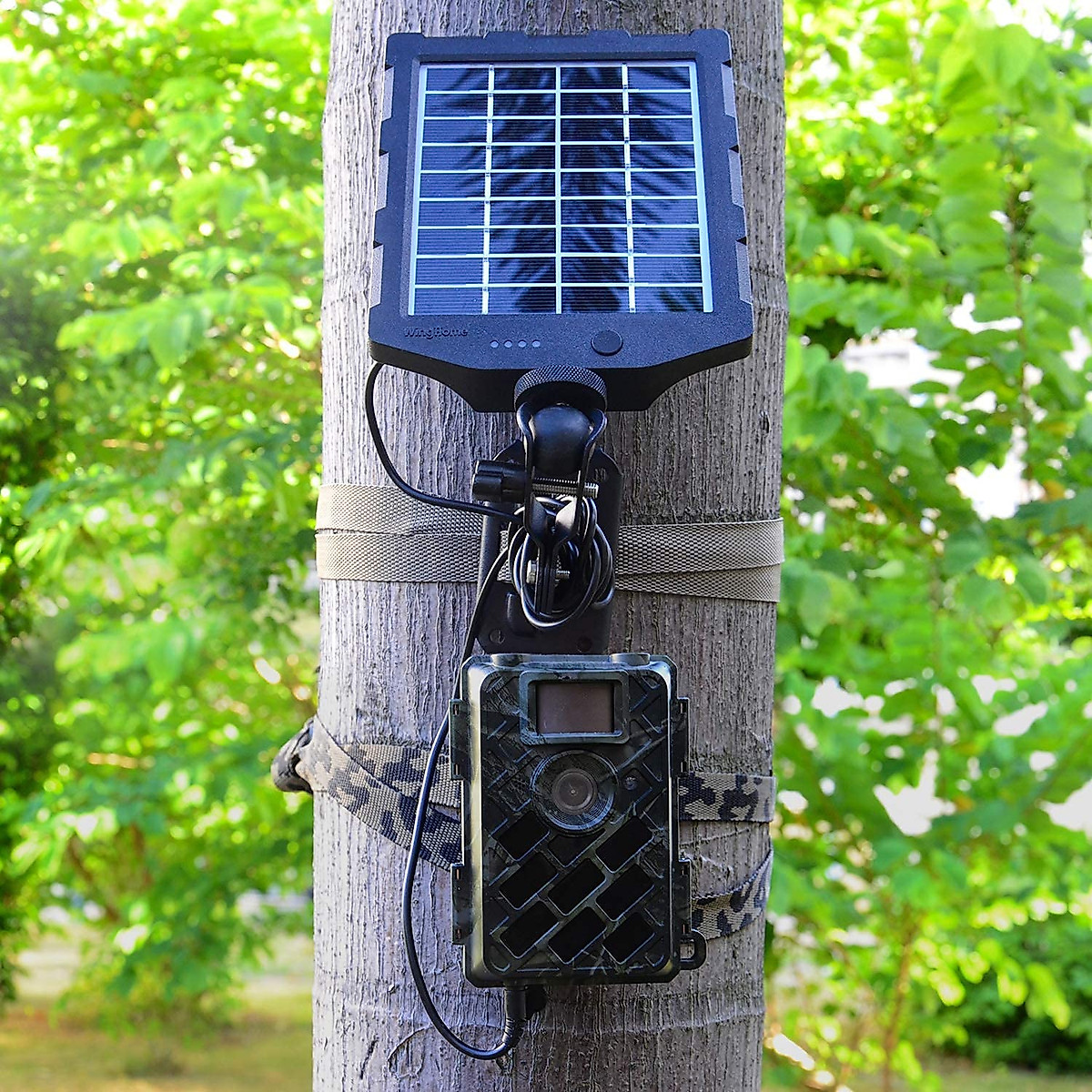 WingHome Cellular Trail Camera, Wildlife Trail Hunting Scouting Camera,Farm Monitoring IP66 Waterproof 24MP FHD 4G-LTE No Glow 1080P 0.4S Trigger with APP and SIM Card+ Trail Camera Mounting Bracket