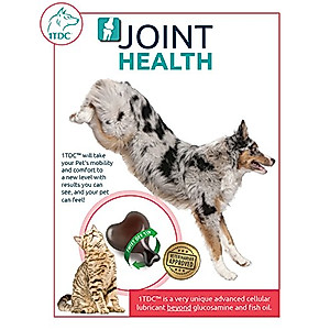 WorksSoWell 1TDC Dual Action Natural Support – 60 Twist Off Soft Gels | Delivers 4 Health Benefits for Dogs & Cats | Supports Oral, Hip & Joint Health, Muscle & Stamina Recovery, Skin & Coat Health