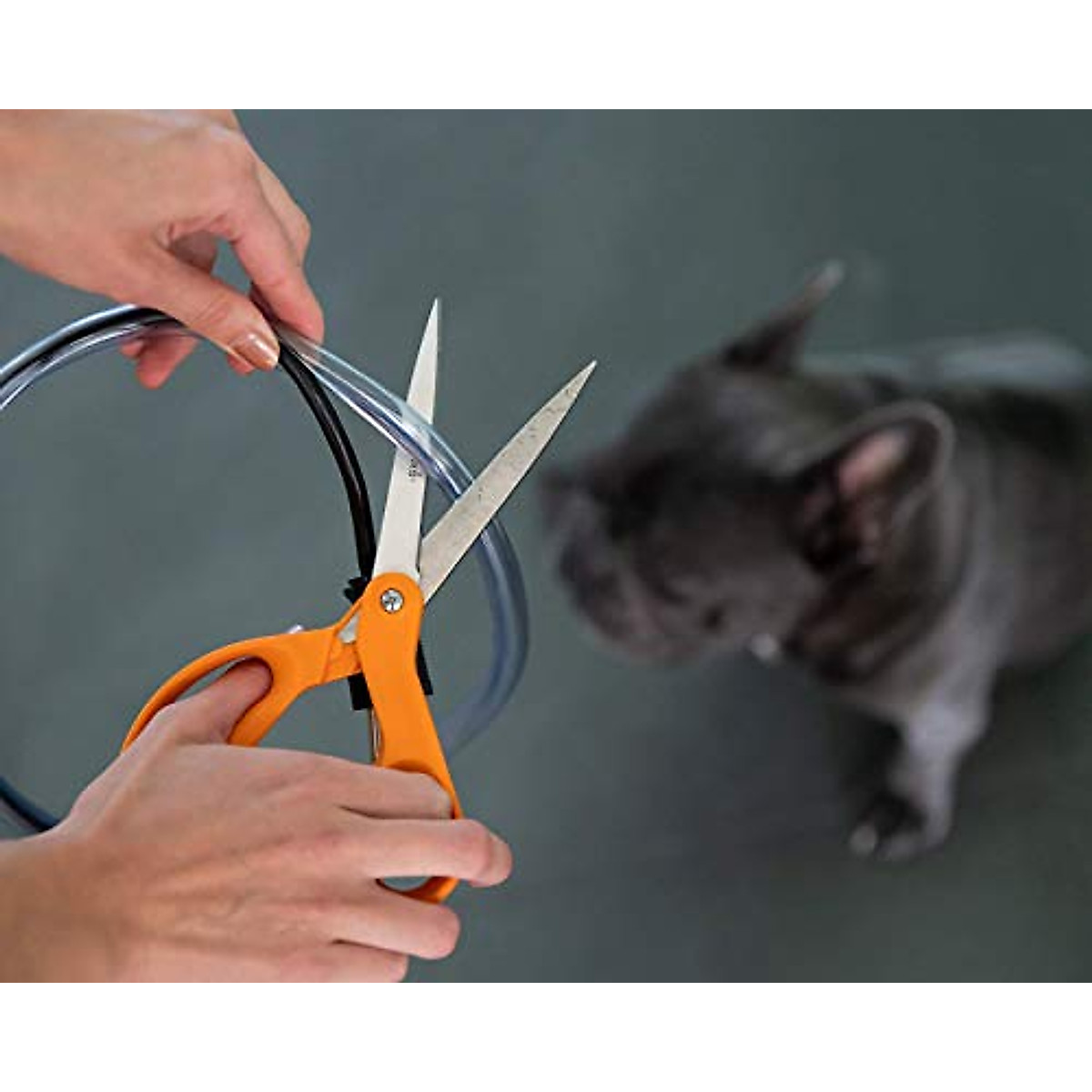 PetCords Dog and Cat Cord Pet Protector 10 FT, Protects Your Pets Through Insulated Cables up to 10ft, Pet and Critter Safety Device, Unscented, Odorless, Made and Designed in The USA