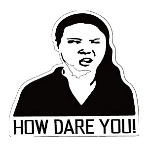 Aokannavi Greta Thunberg How Dare You Laptop Window Car Bumper Helmet Water Bottle - Sticker Graphic - Weatherproof & Long Lasting Sticker (2 Pieces)