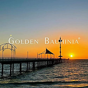 GoldenBauhinia Shower Steamers Aromatherapy - 16 Count Shower Bath Bombs for Women, Essential Oil Stress Relief and Relaxation Shower Tablets Gifts for Women and Men (Lemon)