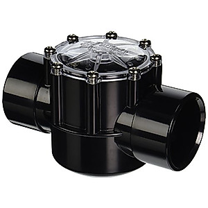 Pentair 263042 Check Valve CPVC for Pool Pumps, 2 Port Straight