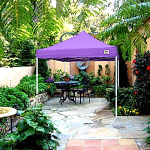 Tistent 10'x10' Pop Up Canopy Tent Commercial Instant Shelter with Heavy Duty Carrying Bag, 4 Canopy Sand Bags Purple