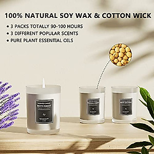 NEVAEHEART Candles for Home Scented, 3.5OZ x 3 Packs Scented Candle Set, Misty Forest | Glimmer Forest | Ebony Bergamot, Candle Gift Set for Women, Natural Soy Wax, Home Fragrance with Gift Box