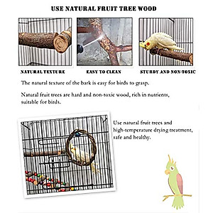YJJKJ Pet Bird Swing, Parrot Cage Toys, Natural Wooden Swing Toys for Parakeet Cockatoo Cockatiel Conure Lovebirds Canaries Little Macaw African Parrot