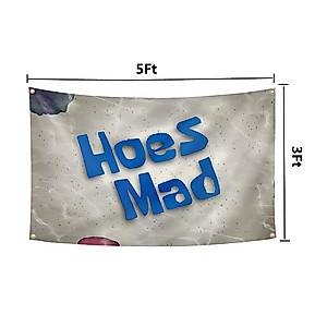 WSINO Hoes Mad Flag 3x5Ft Funny Meme Tapestry for College Dorm Room Guys Man Cave Frat Bedroom Art Deco