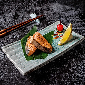 Uaral Sushi Plate Japanese Plates 8.5inch Ceramic Sashimi Plate,4 Piece Rectangle Sushi Dishes(Light Blue)