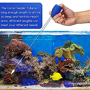 6 Pieces Coral Feeder Set 30 cm and 35 cm Long Acrylic Marine Fish Reef Feeding Tube and Stainless Steel Straight and Curved Tweezers with Tool Holder and Aquarium Thermometer Sticker for Aquarium Pet