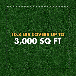 Spectracide Weed Killer, 10.8 lb, Clear