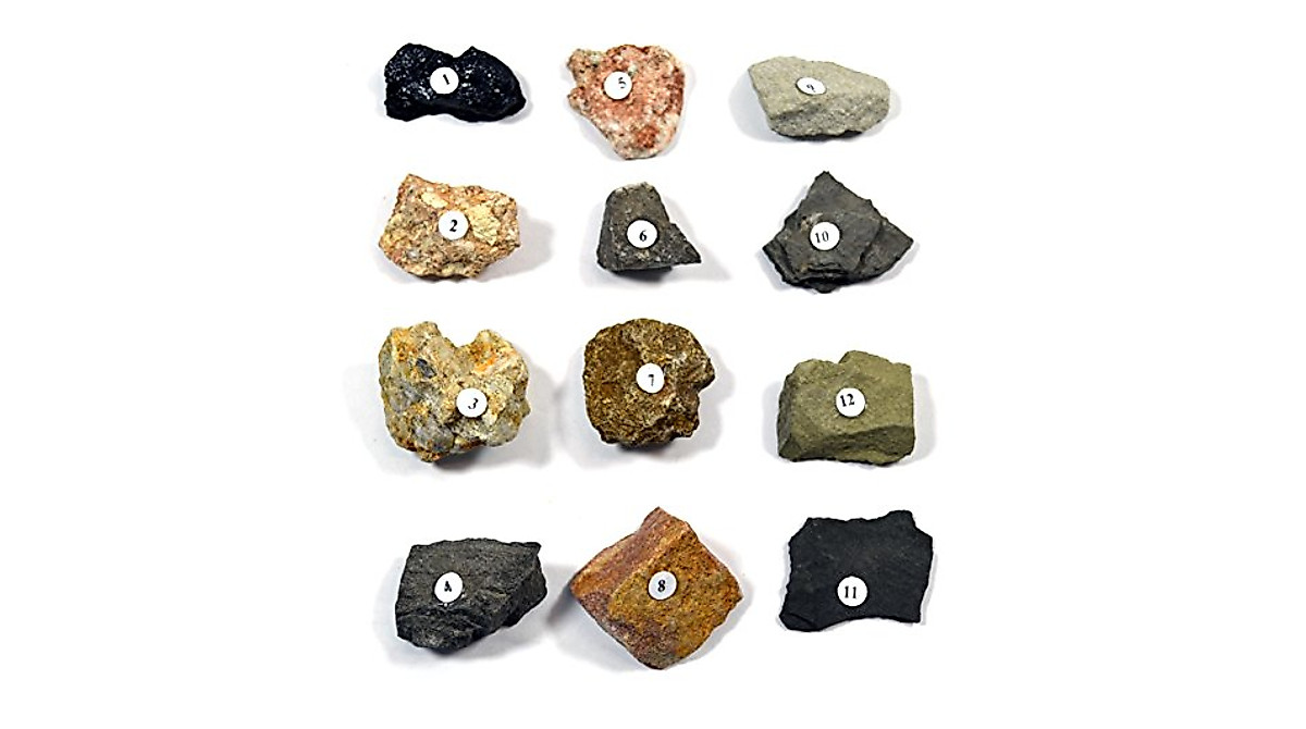 Eisco Sedimentary Rocks Kit - 12 Rock Specimens