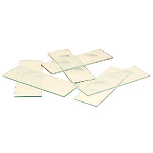 EISCO Microscope Slides with Single Concavity, 10/PK