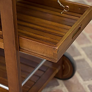 Christopher Knight Home Tillary Tiller Outdoor Acacia Wood Bar Cart Aluminum Accents, Dark Oak/Shiny Powder Coating