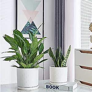 Tagobar Planter Plant Pot - 6 Inch Indoor Pots for Plant Lines Pattern Ceramic White Flower Pot with Drainage Holes & Tray (Plant Not Incolued)