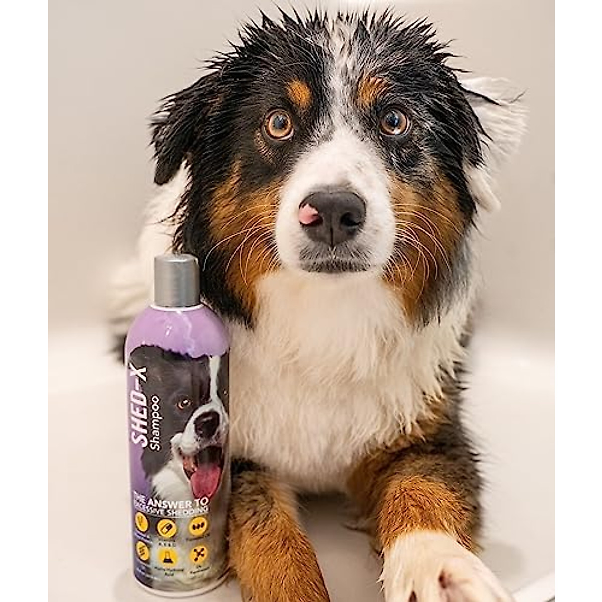 Shed-X Shed Control Shampoo for Dogs, 16 oz – Reduce Shedding – Shampoo Infuses Skin and Coat with Vitamins and Antioxidants to Clean, Release Excess Hair, and Exfoliate