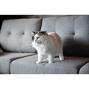 LINSY HOME Oversized Modular Sectional Sofa, Rubik III 6 Seats with 2 Ottomans Convertible U Shaped Sectional Sleeper Sofa with Storage, All Covers Changeable Washable, Grey