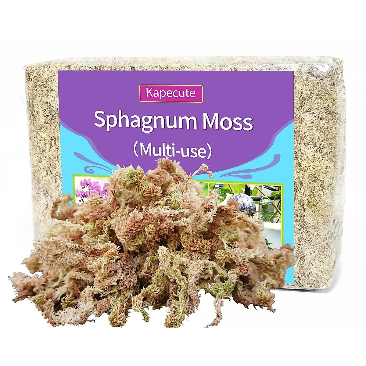 Kapecute Sphagnum Moss 34QT Perfect for Plant Propagation, Great Orchid Potting Mix, Help with Maintain Humidity, 10oz