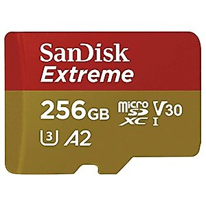 SanDisk Extreme 256GB Micro SD Memory Card for GoPro Works with GoPro Hero 9 Black Camera UHS-1 U3 / V30 A2 4K Class 10 (SDSQXA1-256G-GN6MN) Bundle with 1 Everything But Stromboli MicroSD Card Reader