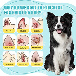 OMYGYM 50g (1Pc) Ear Powder for Dogs and Cats– Dog Ear Powder for Hair Removal, Ear Powder for Dogs Plucking, Ear Cleaning for Dogs, Effective Ear Care for Pets (Powder Ear Cleaner 1Pc)