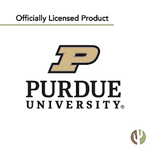 Desert Cactus Purdue University 10 Pack Notecards Stationery Cardstock Boilermakers Includes Envelopes Memo Party Thank You (Notecard 1a)