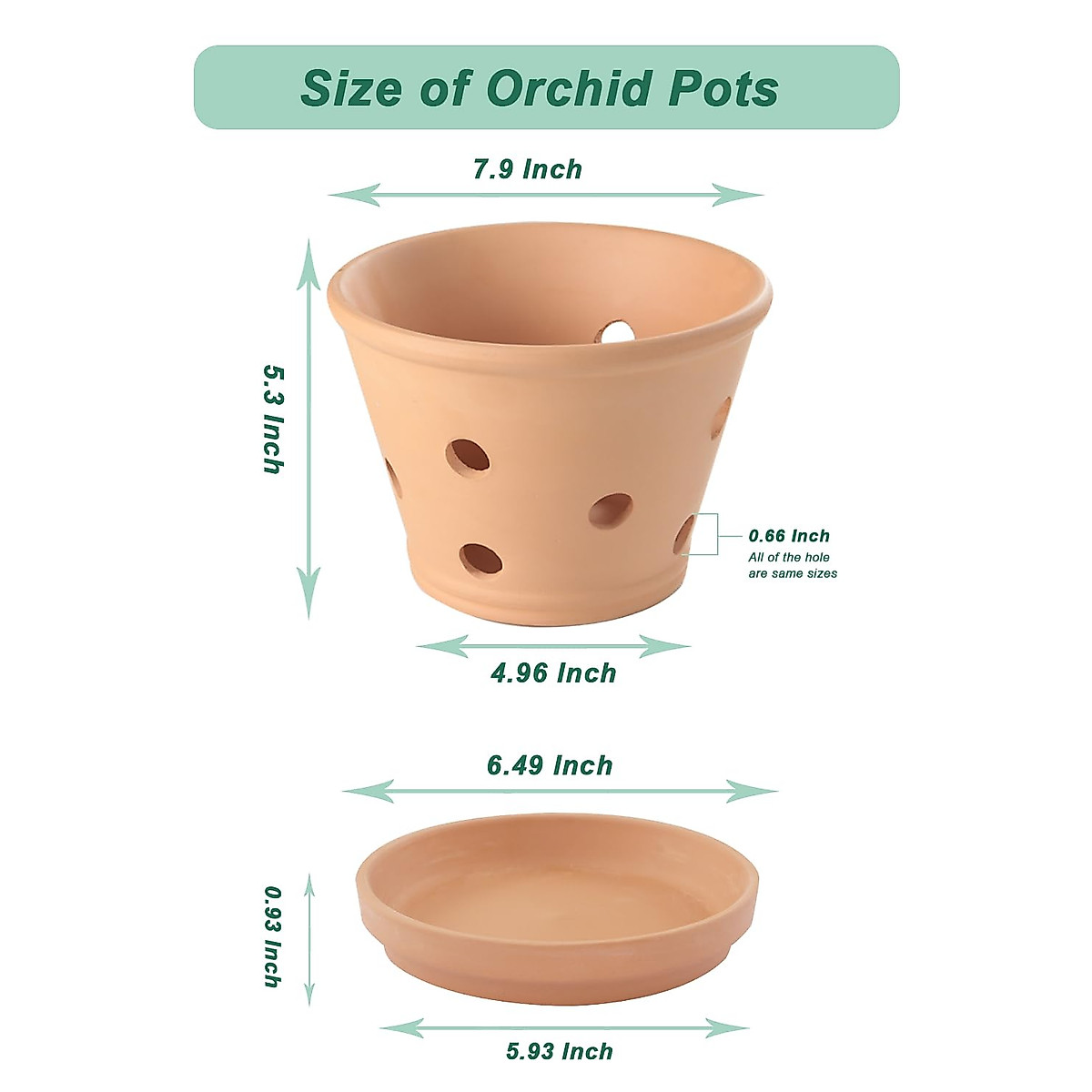 vensovo 6 Inch Terracotta Orchid Pots with Holes and Saucers - 3 Pcs Small Clay Orchid Planter Pots for Repotting, Plant Flower Pots for Orchid Indoor and Outdoor Promotes Air Circulation