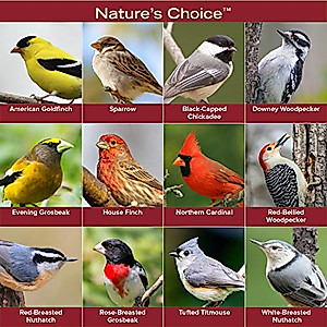 Blue Seal Nature's Choice Wild Bird Seed | High Energy Blend, Sunflower and White Safflower Seeds, No Filler | 8 Pound Bag