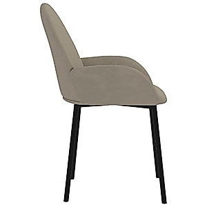 vidaXL Dining Chairs in Light Gray Velvet - Elegant, Modern Design, Comfortable Foam Filling, for Living Room, Dining Room, and More - Set of 2