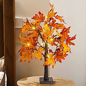 Dazzle Bright 24 Inch Lighted Thanksgiving Fall Maple Tree Decor, 24 LED Battery Operated Decorations Artificial Tree with Timer for Indoor Home Room Holiday Xmas Party