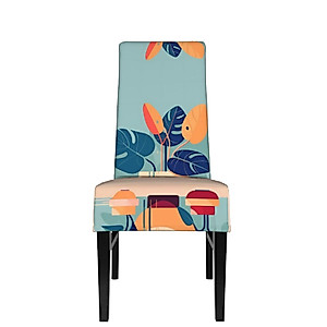 ZYVIA Protection Cover for Dining Chair Comfortable Elasticity Removable Chair Cover for Most Parson Chairs Sew-in for A Secure Fit Blue Orange Turtleback Bamboo