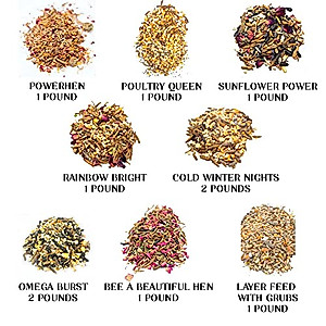 Pampered Chicken Mama Chicken Treat for Hens 10 Pounds Sampler Bundle: 8 Different Treats in One Box! - Grubs, Dried Mealworms, Cracked Corn, Oyster Shell, & Duck Feed