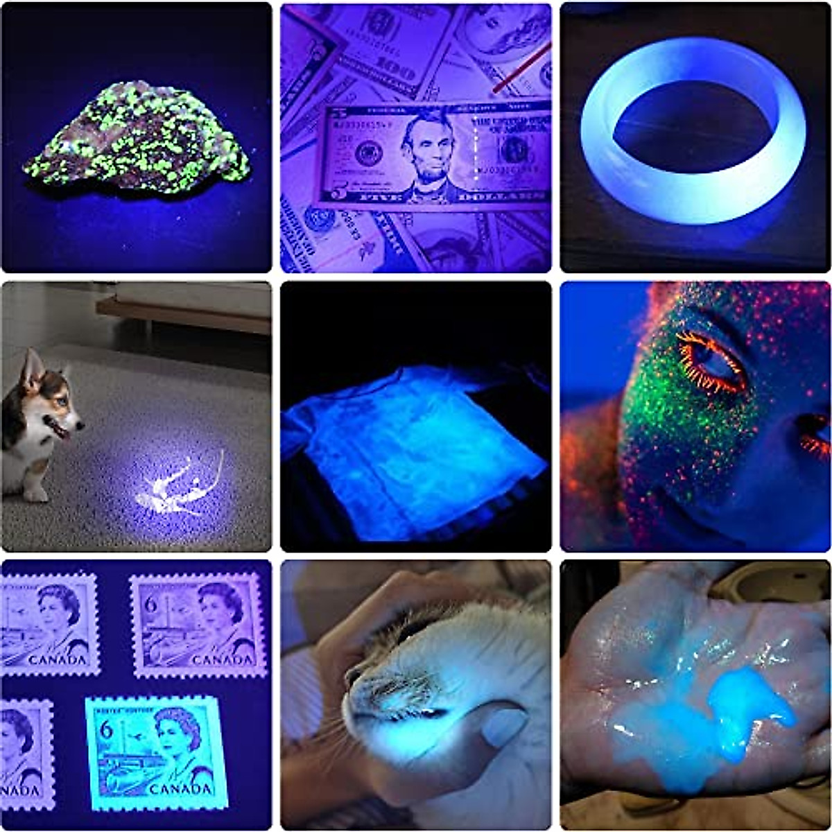 DARKBEAM UV Flashlight 365nm & 395nm Blacklight Rechargeable USB, Wood’s Lamp Ultraviolet Black Light LED Portable with Clip - Detector for Pet Cat Urine, Stains, Resin Curing, Uranium Glass, 2 Pack