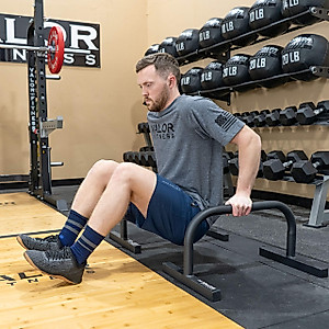 Valor Fitness Gymnastic Parallette Bars - Training Dip Bars Push Up Stands - Build Core Body Weight Strength Balance Equipment -PR-LT